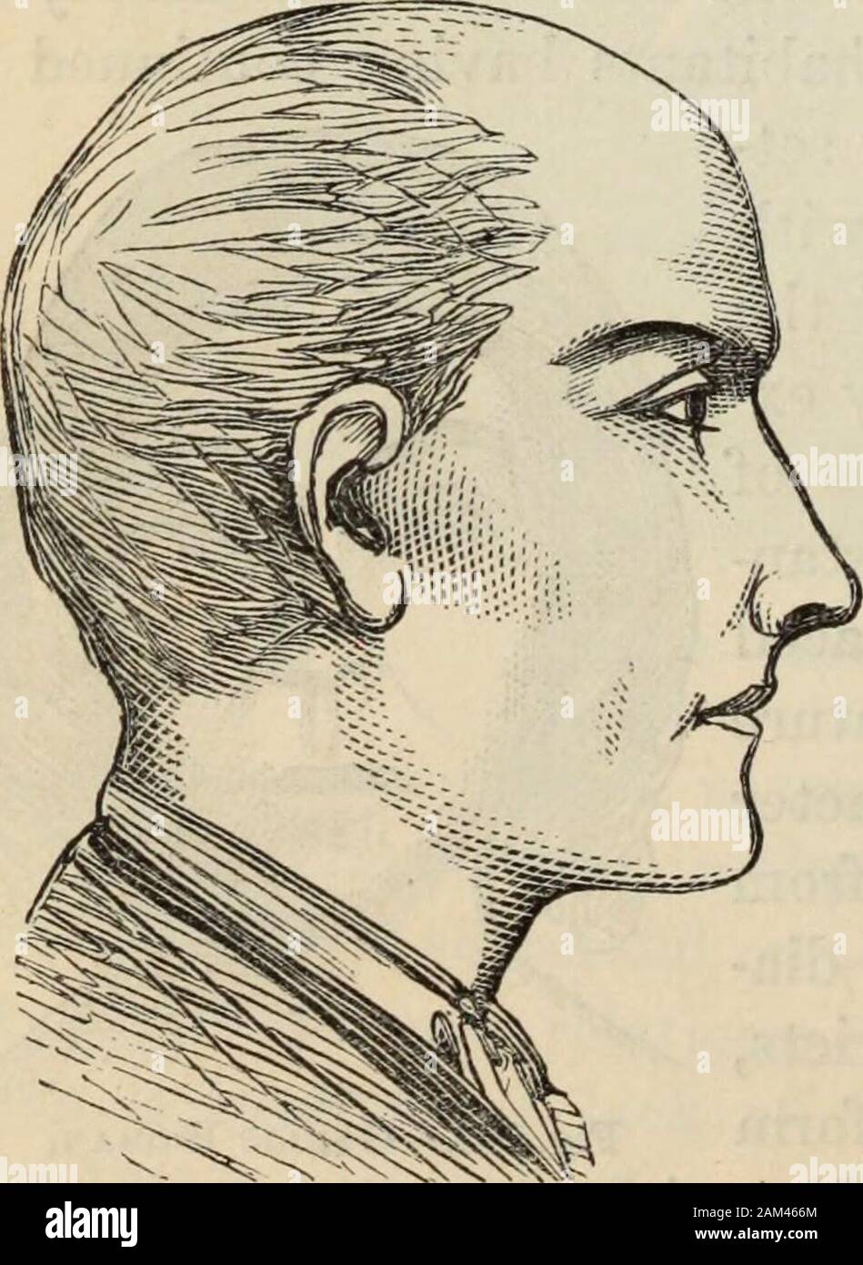 Dogmatically hi-res stock photography and images - Alamy