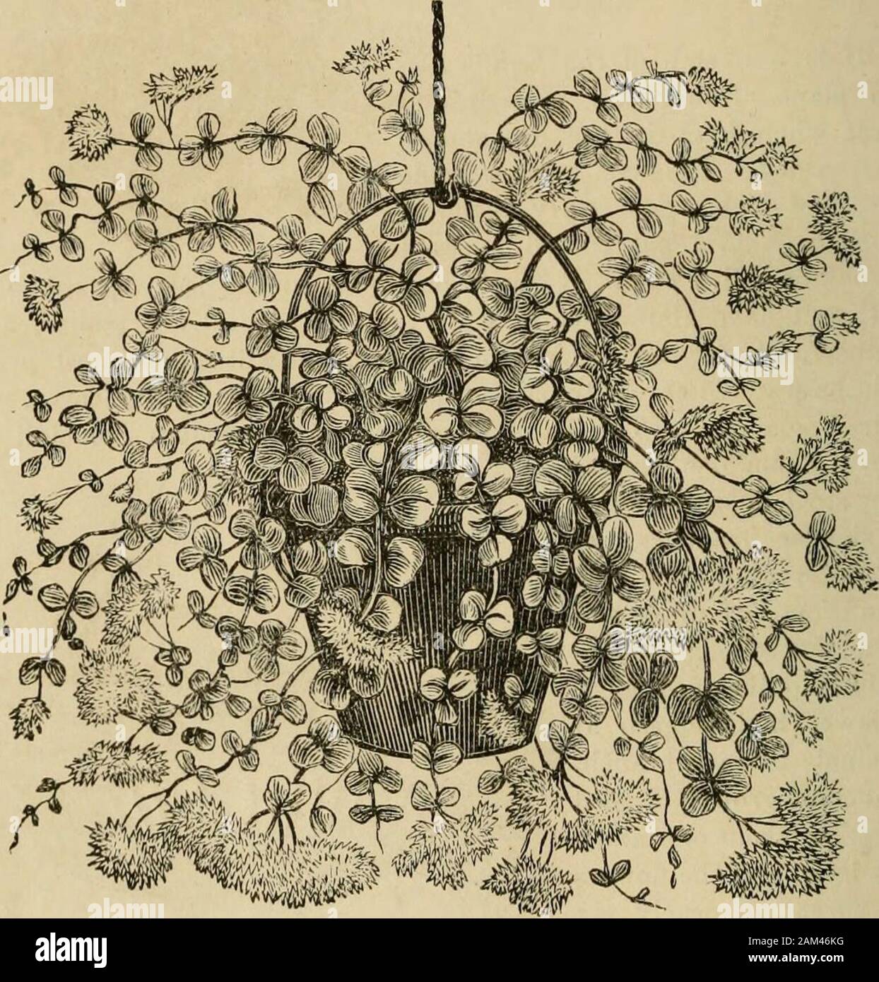 Colossal dimensions hi-res stock photography and images - Alamy