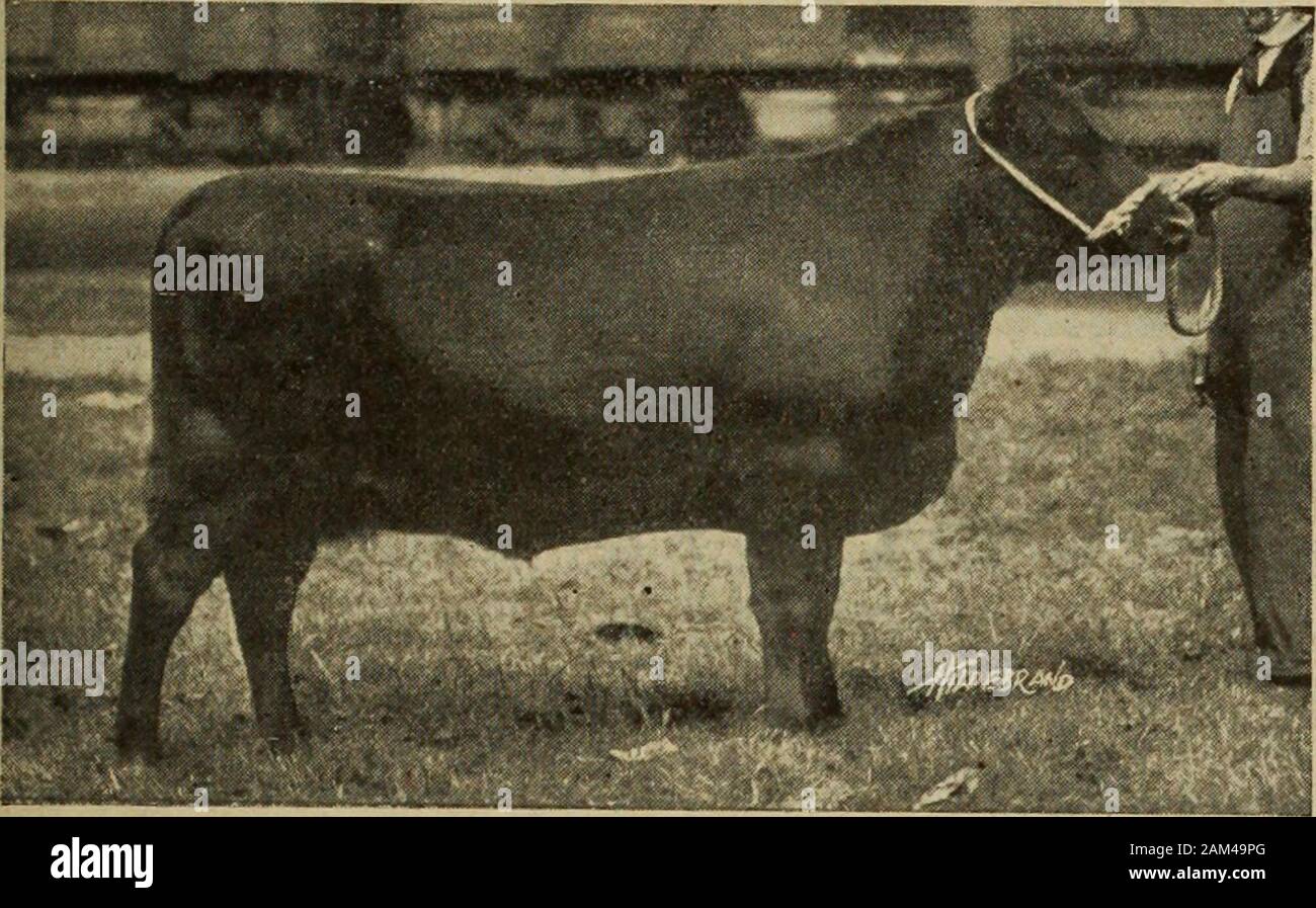 Ls magazine hi-res stock photography and images - Alamy