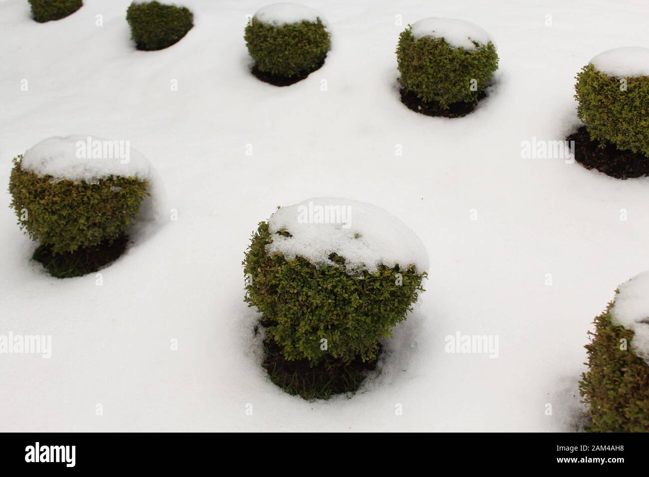 Picture shows box in hi-res stock photography and images - Alamy