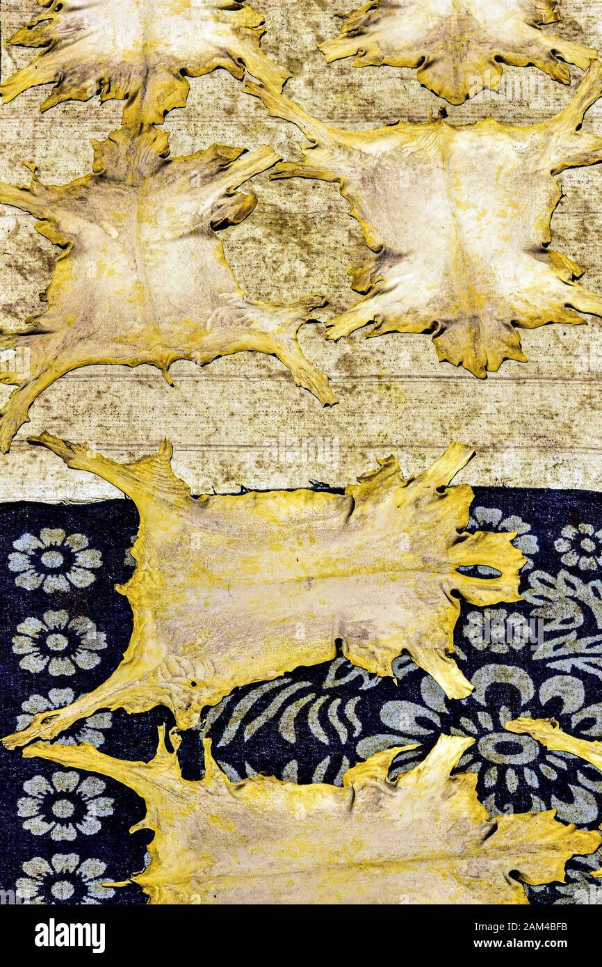 Tintori High Resolution Stock Photography and Images - Alamy