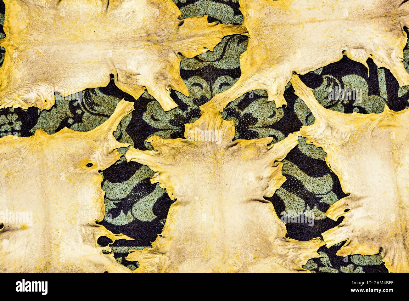 Africa Morocco Medina of Fez dye Stock Photo - Alamy