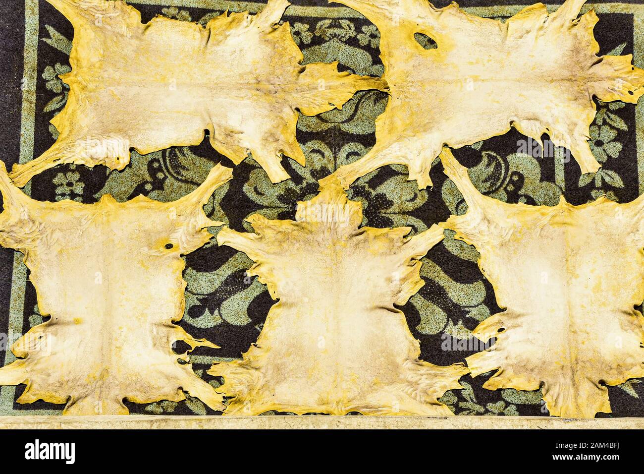 Diyers hi-res stock photography and images - Alamy