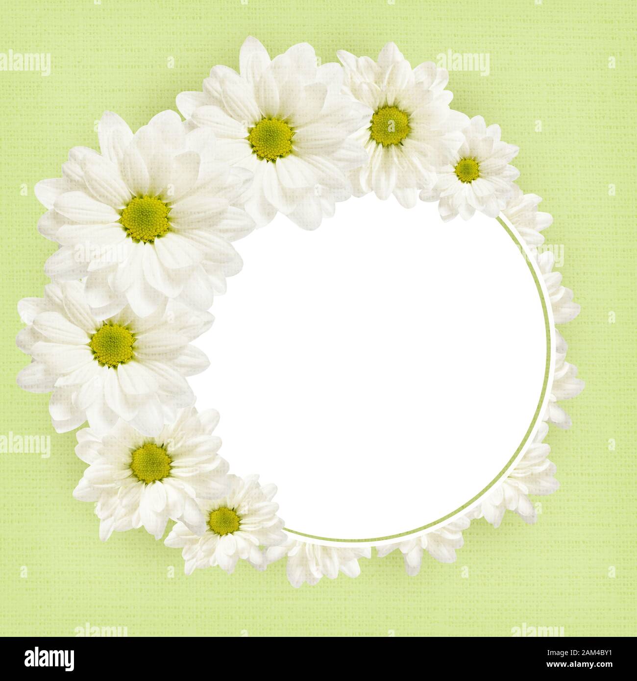 Background with daisy flowers and round frame Stock Photo - Alamy