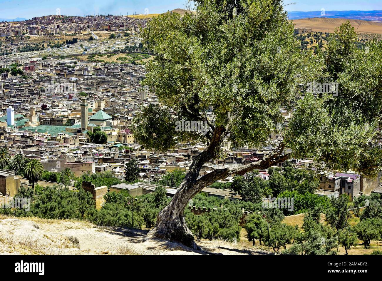 Africa Morocco Fez view Stock Photo - Alamy