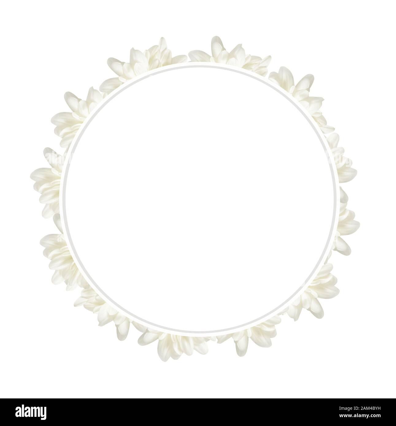 Daisy frame Cut Out Stock Images & Pictures - Alamy