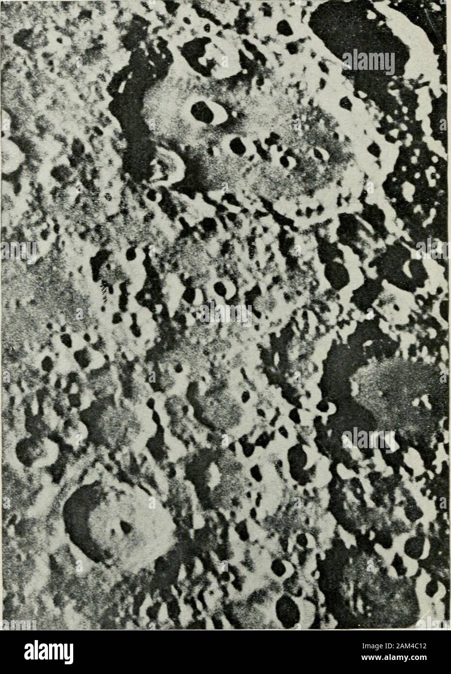 Visil hi-res stock photography and images - Alamy