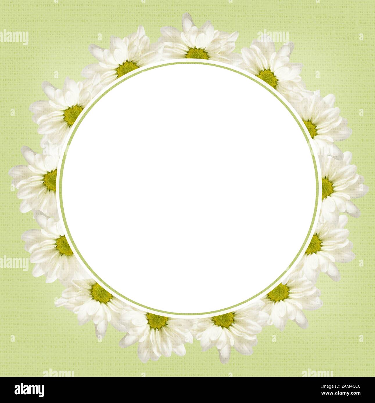 Background with daisy flowers and round frame Stock Photo - Alamy