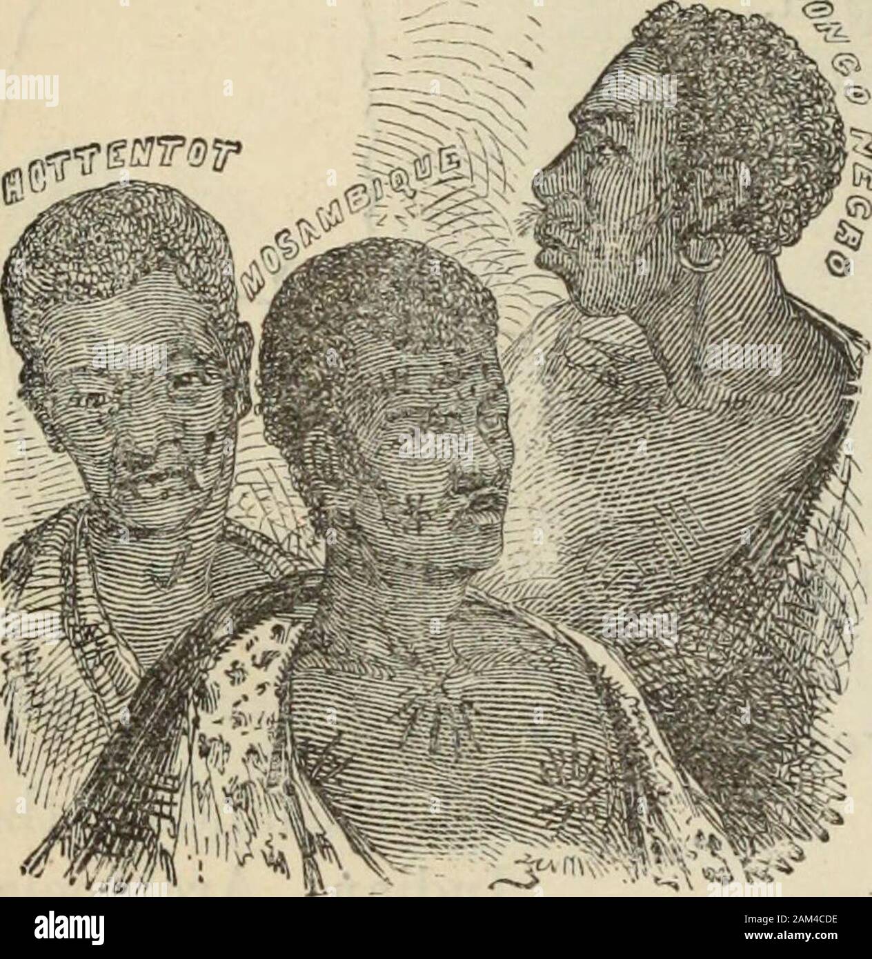 Face types distinguished hi-res stock photography and images - Alamy