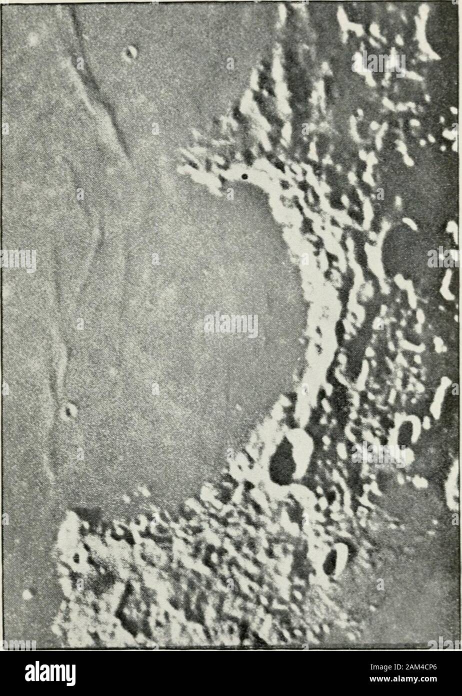 The mechanics of the moon : dedicated to the astronomers and ...