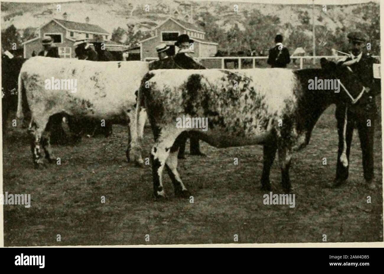 Freezing in position hi-res stock photography and images - Alamy