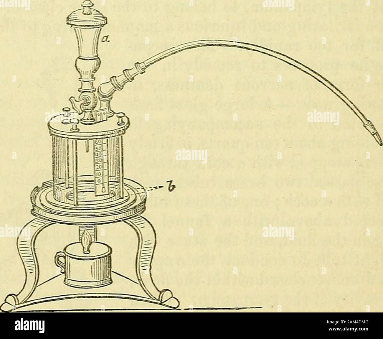 New remedies : with formulae for their preparation and administration ...