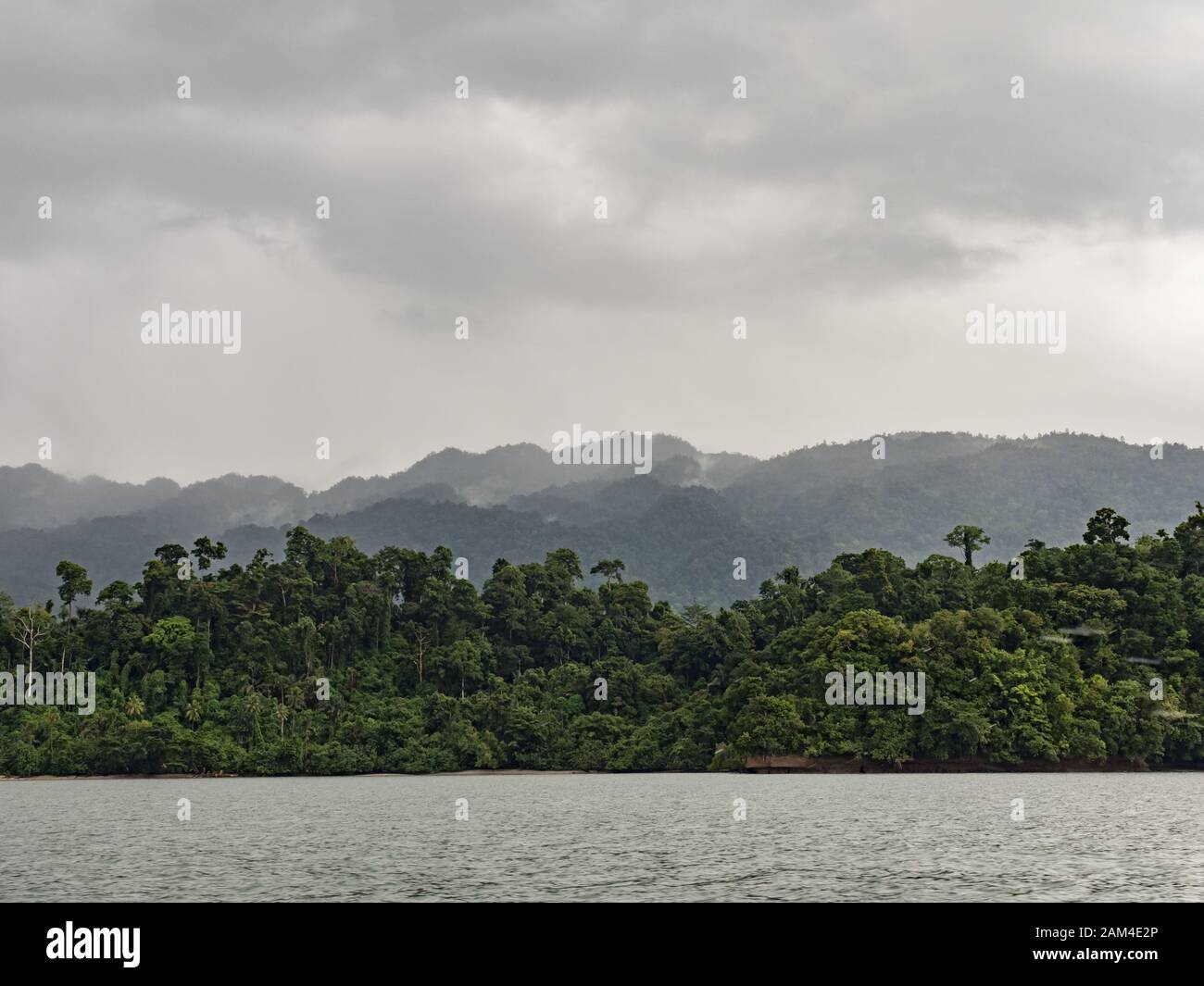 Rain forest. Arguni, Bird's Head Peninsula, West Papua, Indonesia, Asia ...