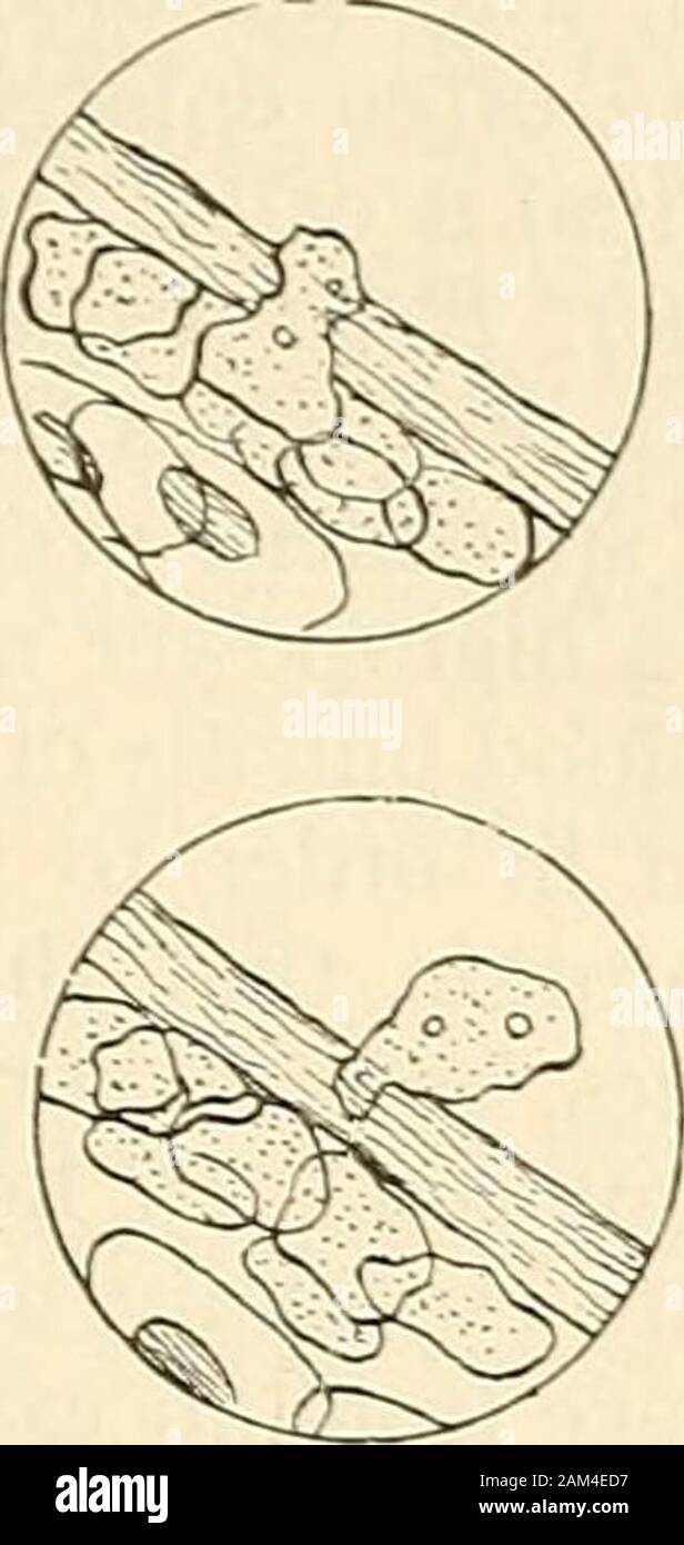 Modern surgery, general and operative Stock Photo - Alamy