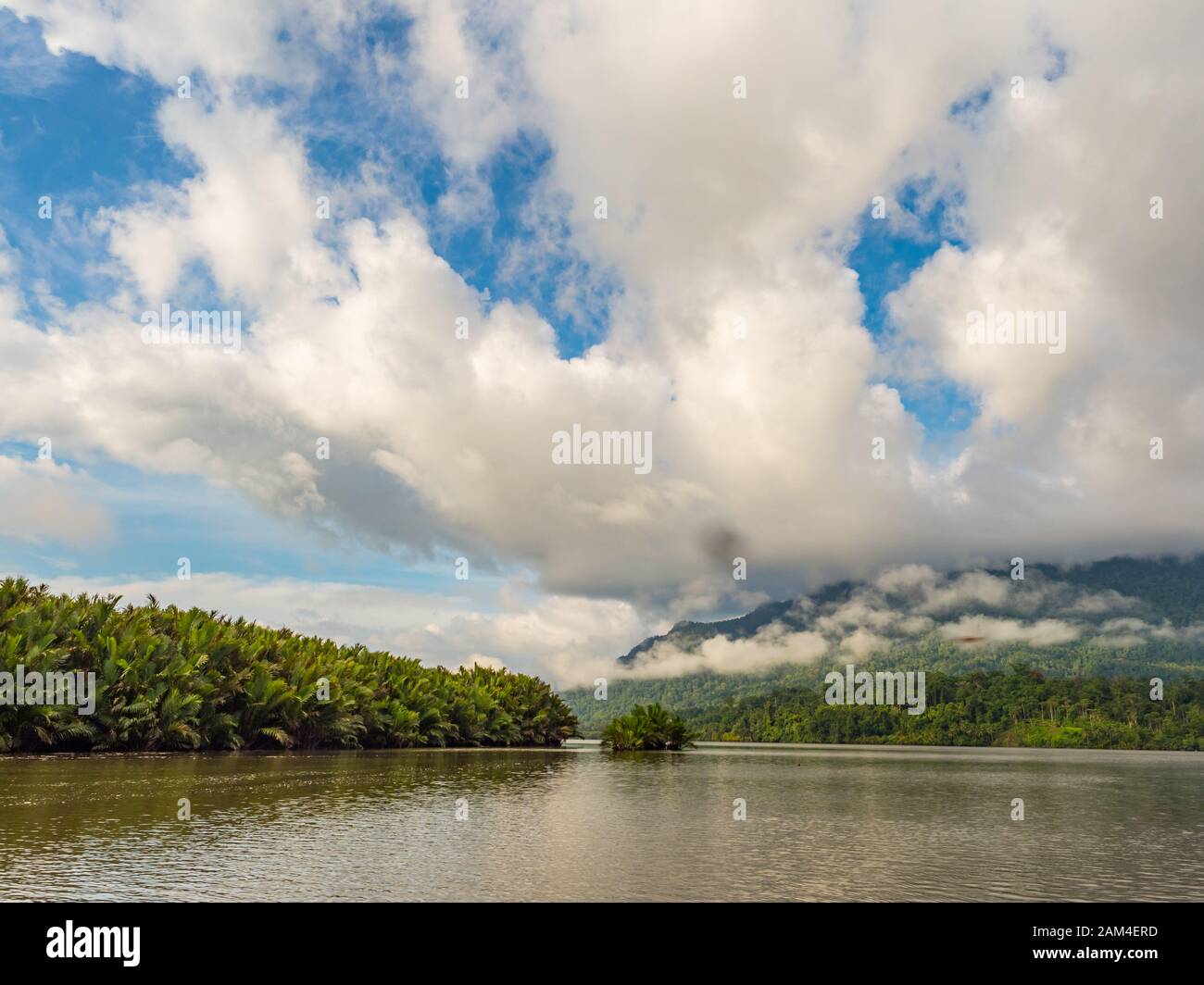 Arguni, Bird's Head Peninsula, West Papua, Indonesia, Asia Stock Photo ...
