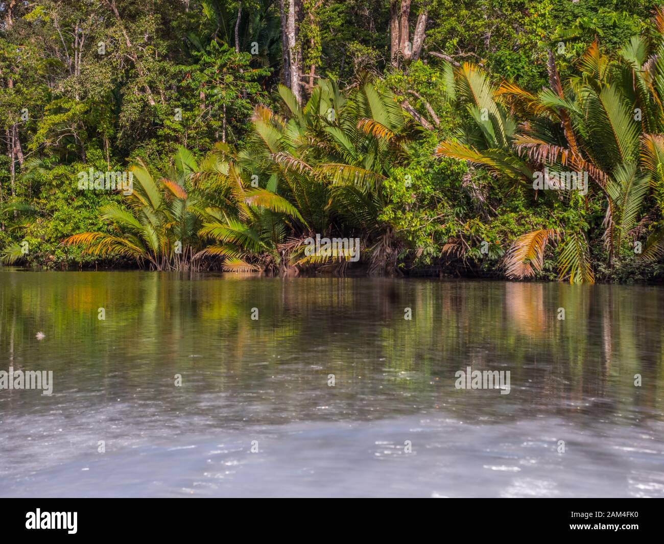 Arguni, Bird's Head Peninsula, West Papua, Indonesia, Asia Stock Photo ...