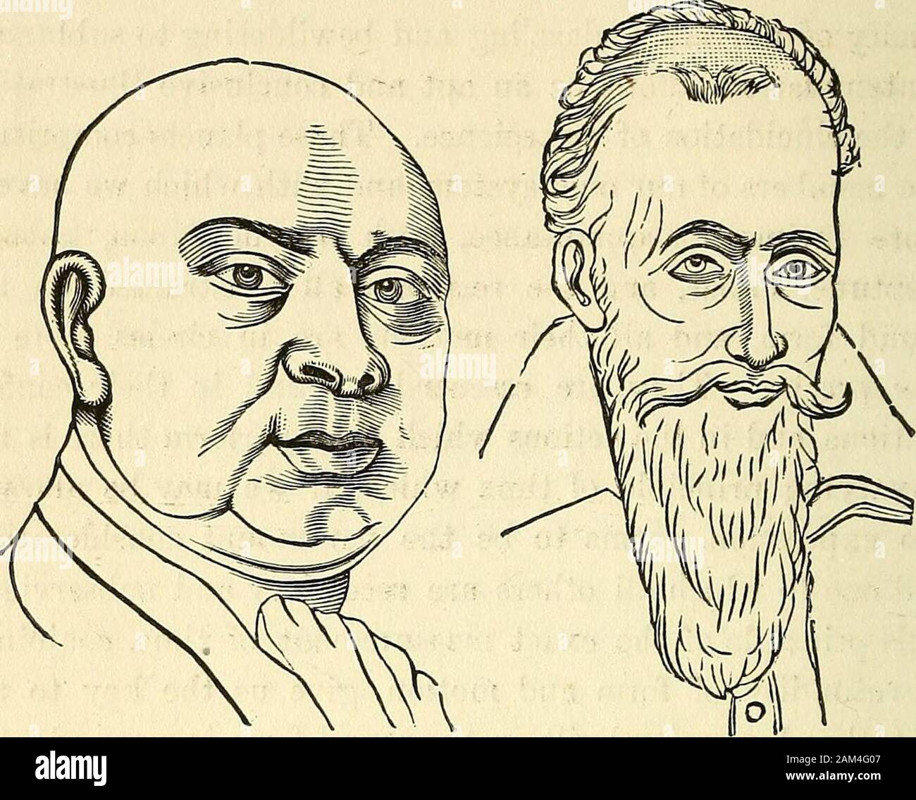 Rotundity hi-res stock photography and images - Alamy