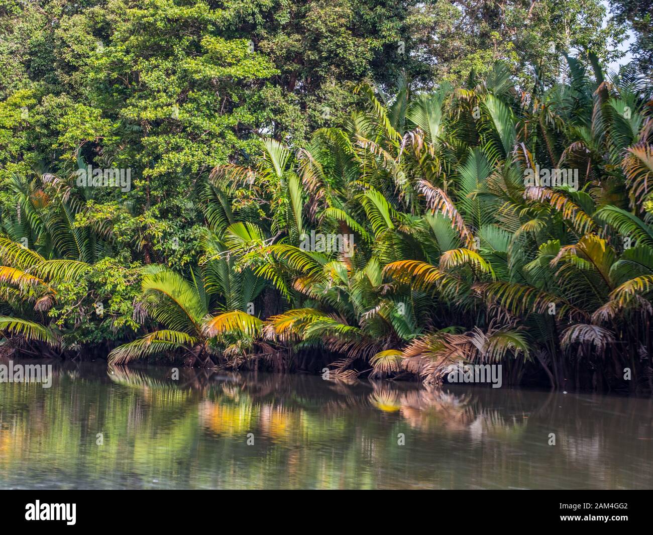Arguni, Bird's Head Peninsula, West Papua, Indonesia, Asia Stock Photo ...