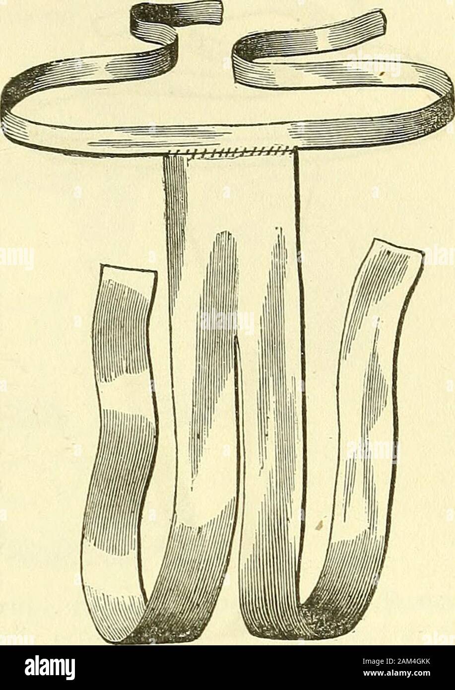 New elements of operative surgery . s importantshould be disturbed as ...