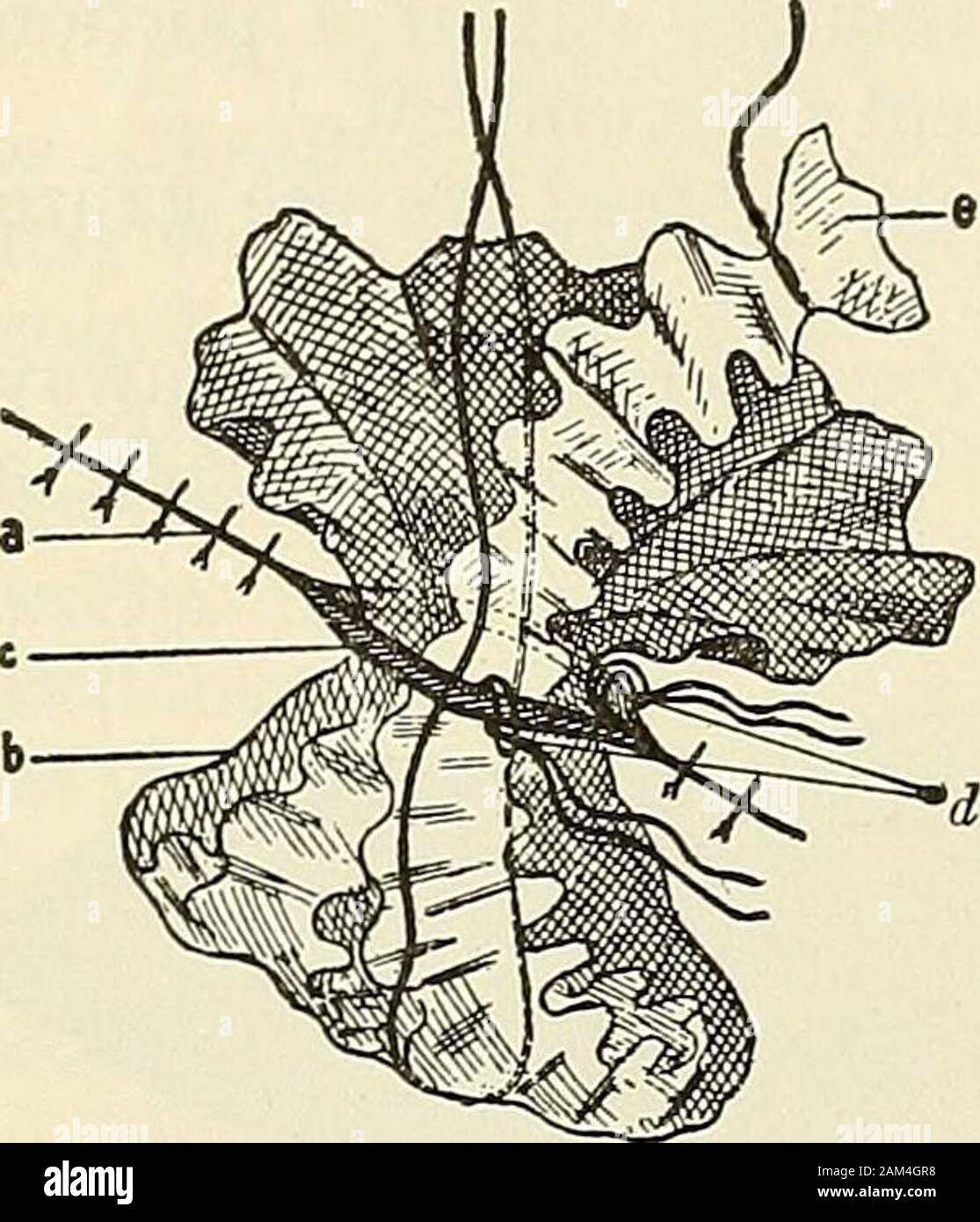 Pick stitch hi-res stock photography and images - Alamy