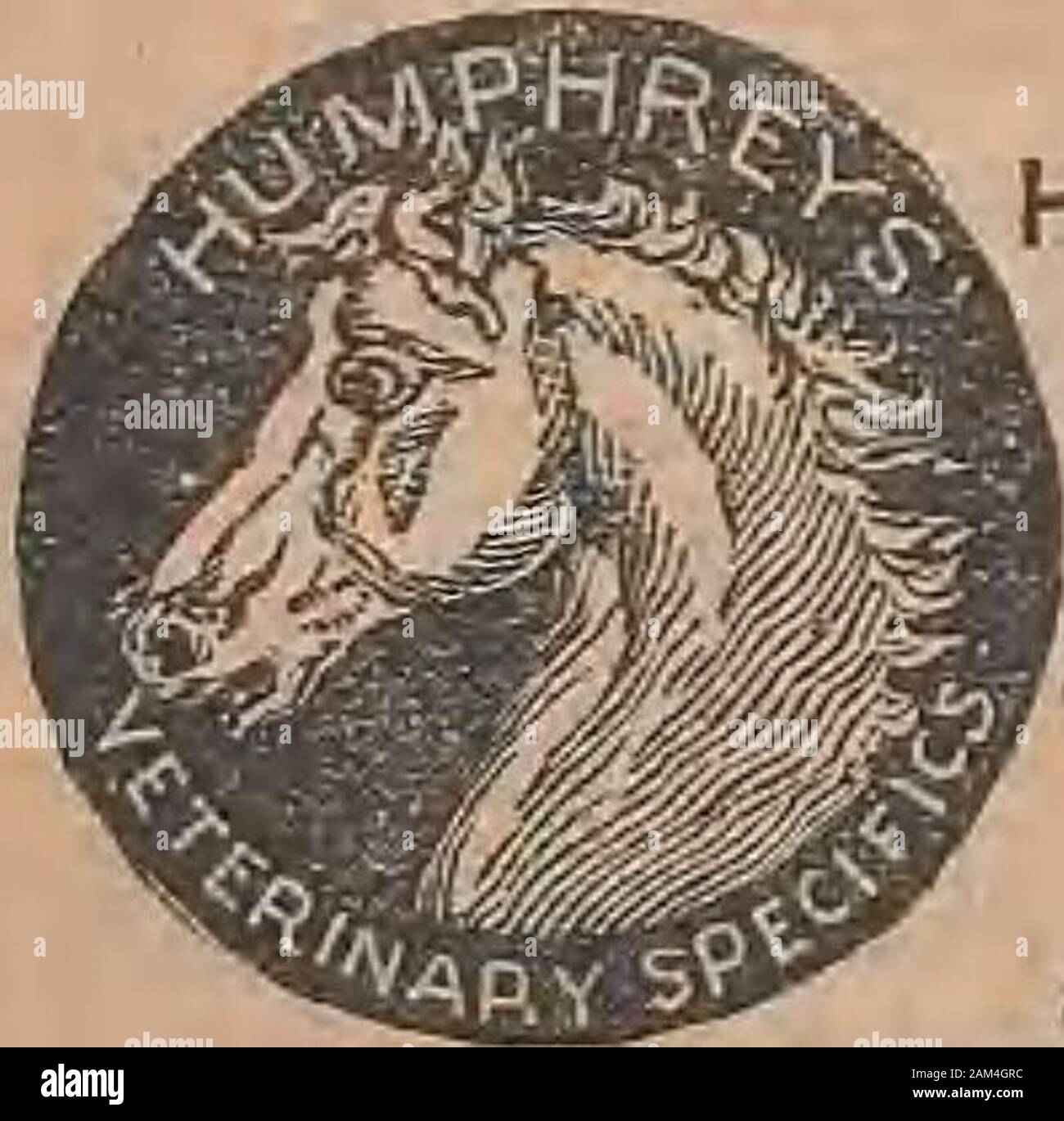 Apigeon hi-res stock photography and images - Alamy