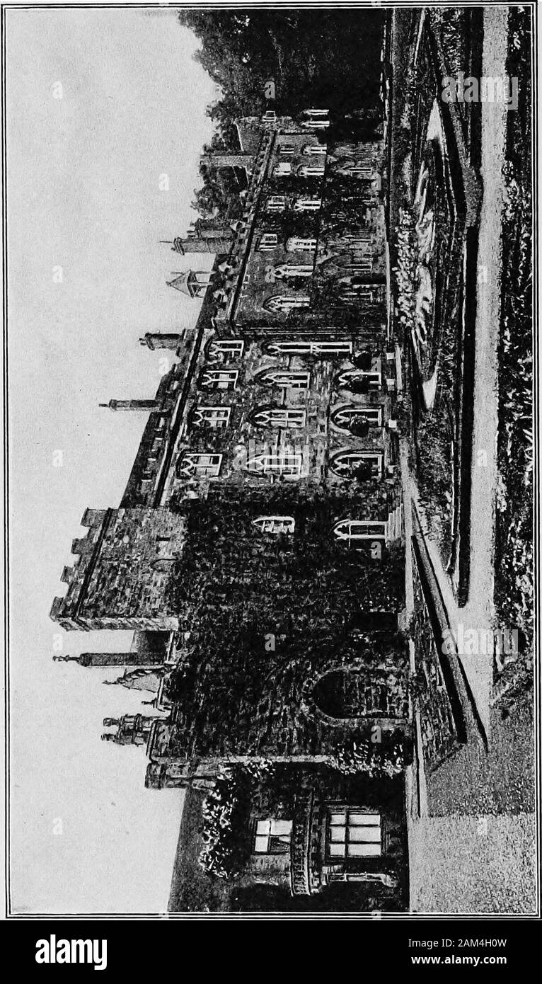 Olivia sage hi-res stock photography and images - Alamy