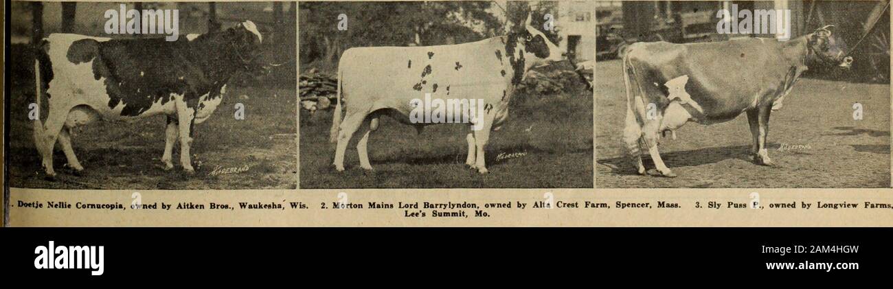 John van pelt hi-res stock photography and images - Alamy