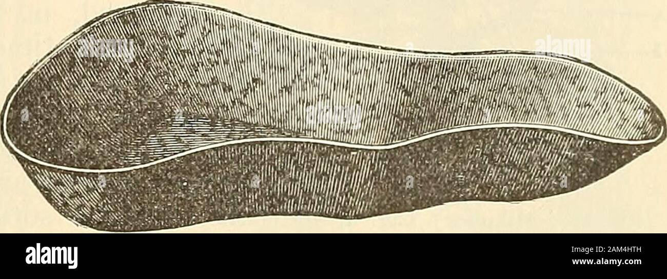 Cigarette tubes hi-res stock photography and images - Alamy