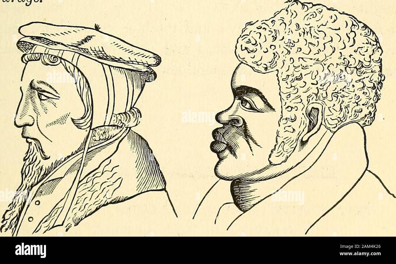Nature's revelations of character; or, physiognomy illustratedA ...