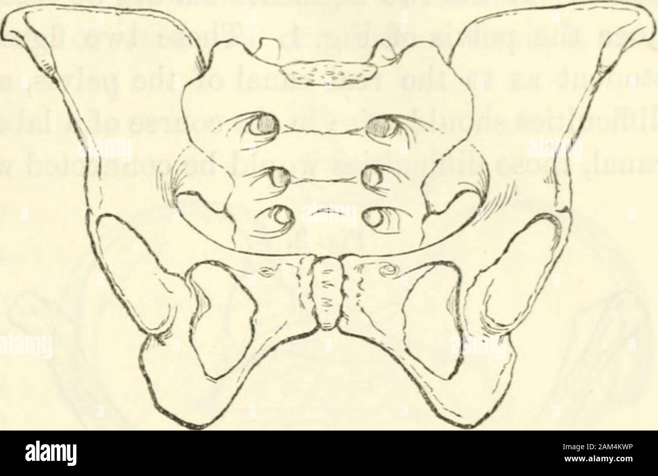 Obstetrics : the science and the art . form, crasis, or function, and ...