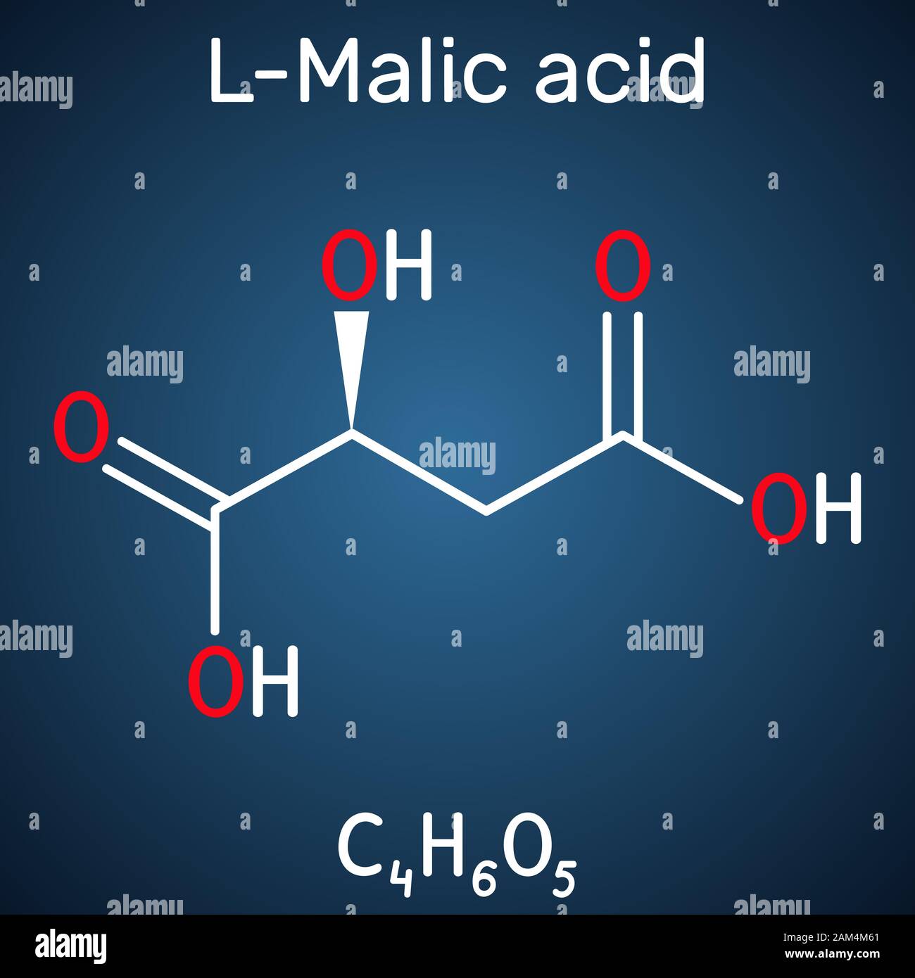 Malic Acid Structure