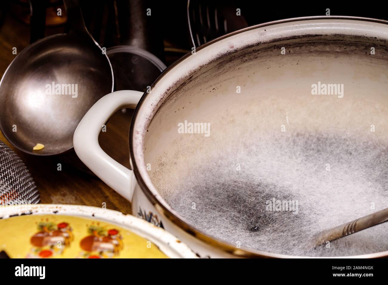 Penicillin mold bacteria hi-res stock photography and images - Alamy