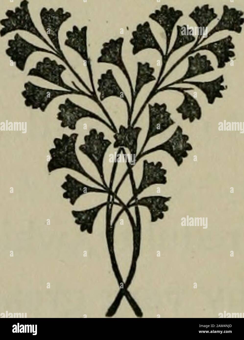 Know ow hi-res stock photography and images - Alamy