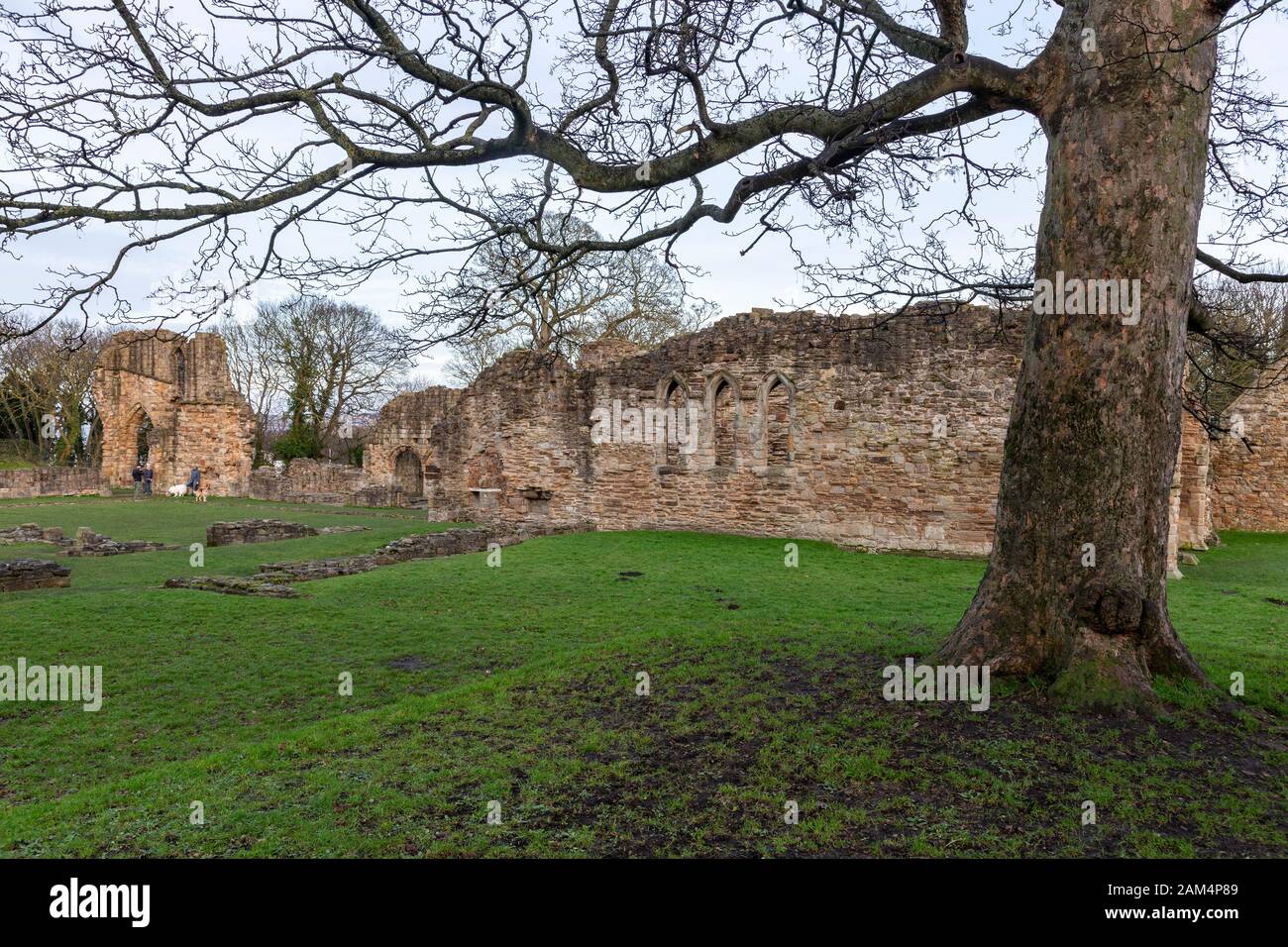 Basingwerk abbey, Greenfield Heritage Park, North Wales Stock Photo - Alamy