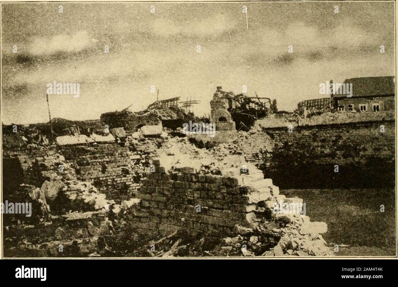 Mole attack hi-res stock photography and images - Alamy