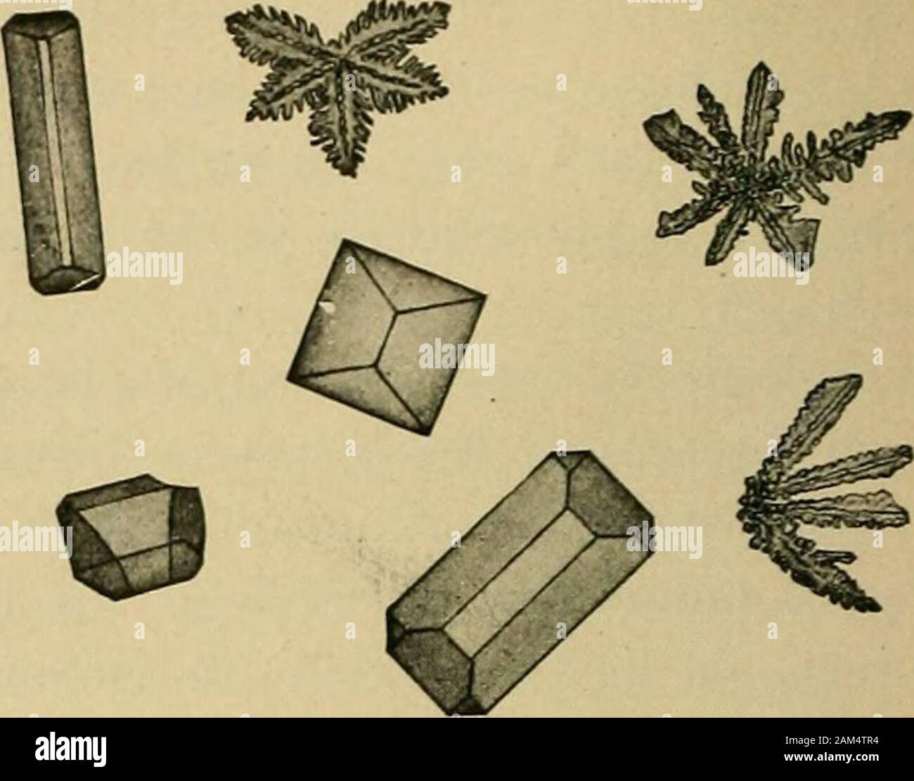 Practical physiological chemistry : a book designed for use in courses ...