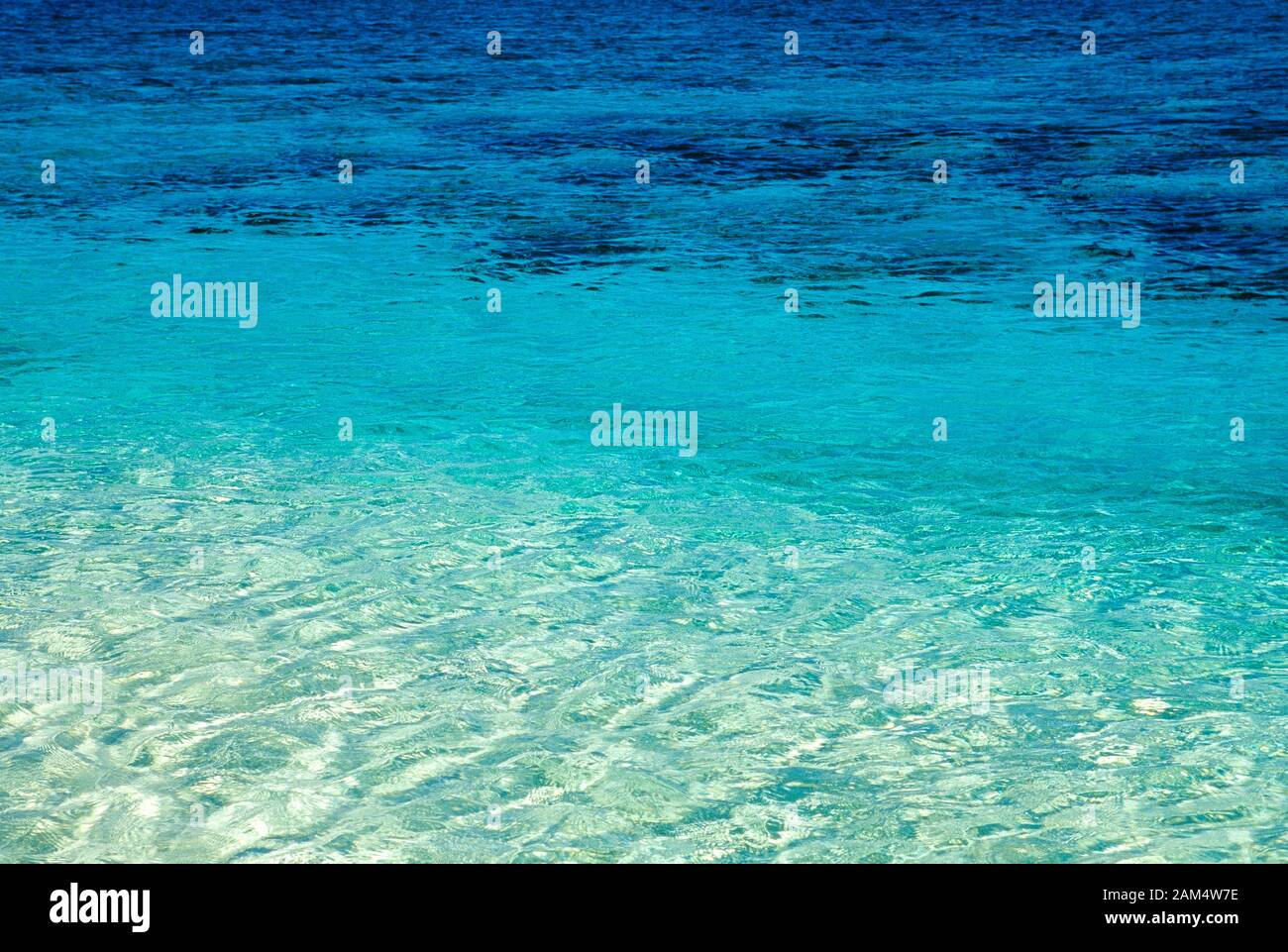 Bahamas. Crystal clear blue Caribbean Sea Stock Photo - Alamy