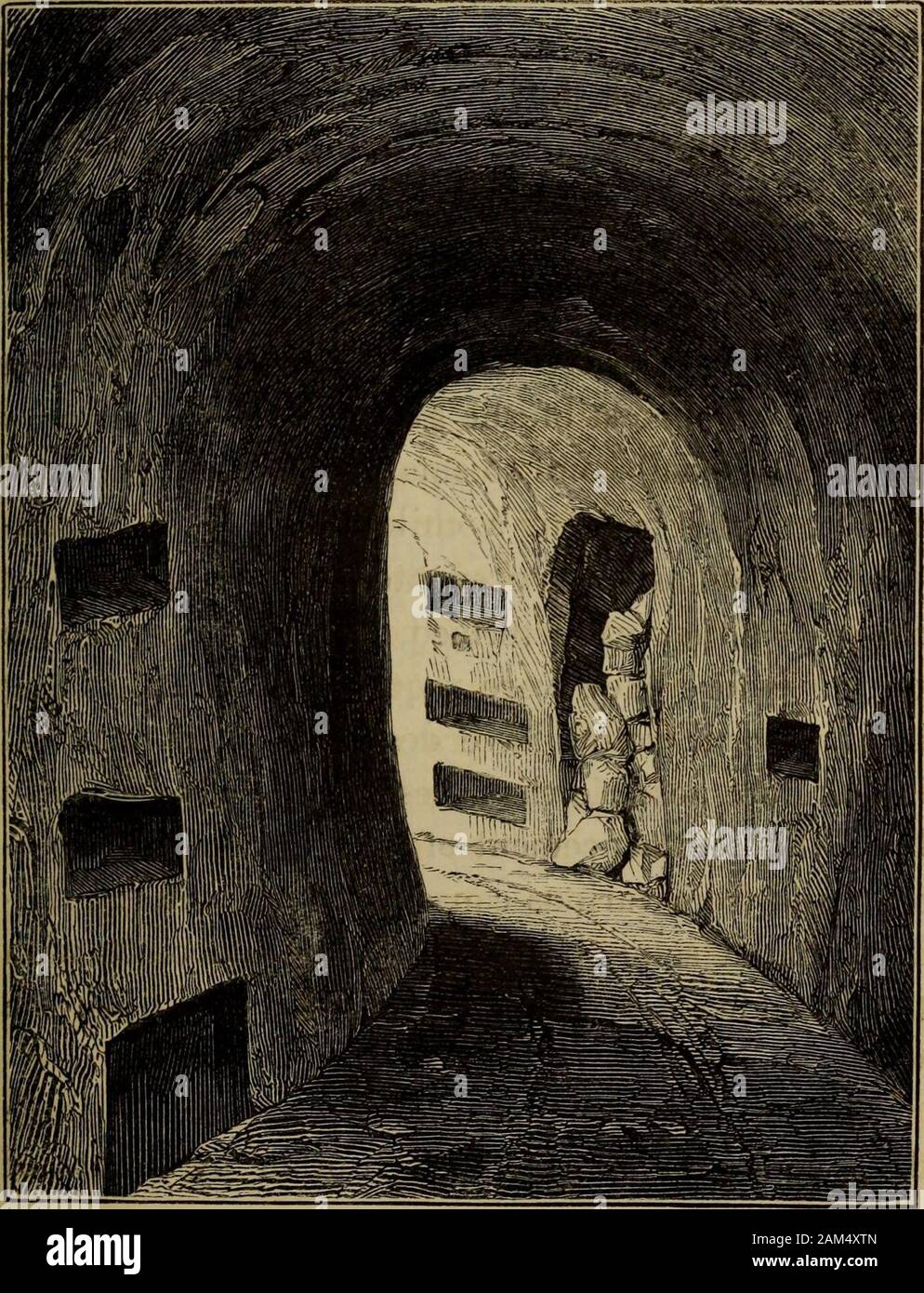 The church in the catacombs : a description of the primitive church of ...