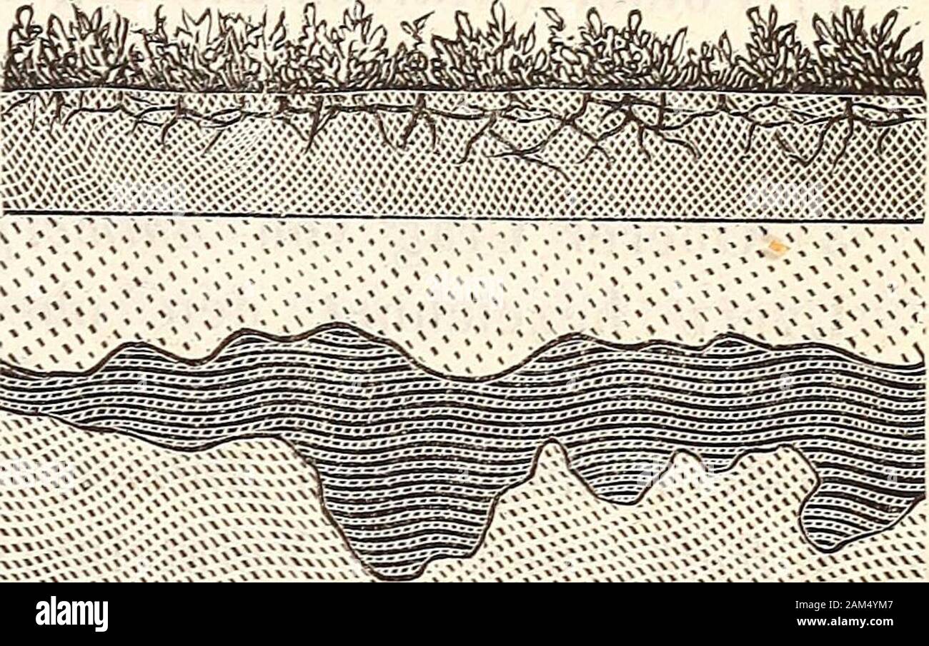 Feuersteine hi-res stock photography and images - Alamy