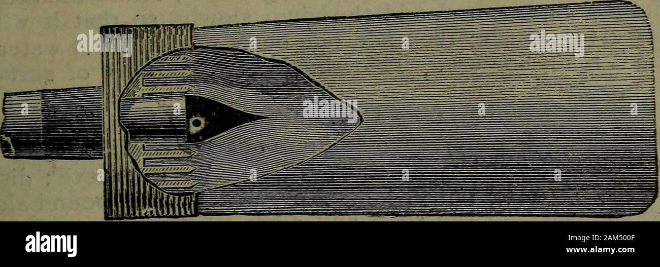 What to do and how to do itFor those who paint, varnish, or kalsomine ...