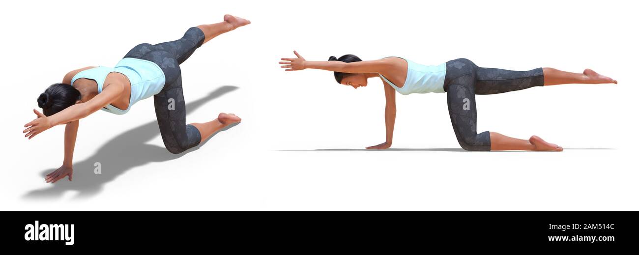 Sunbird pose hi-res stock photography and images - Alamy