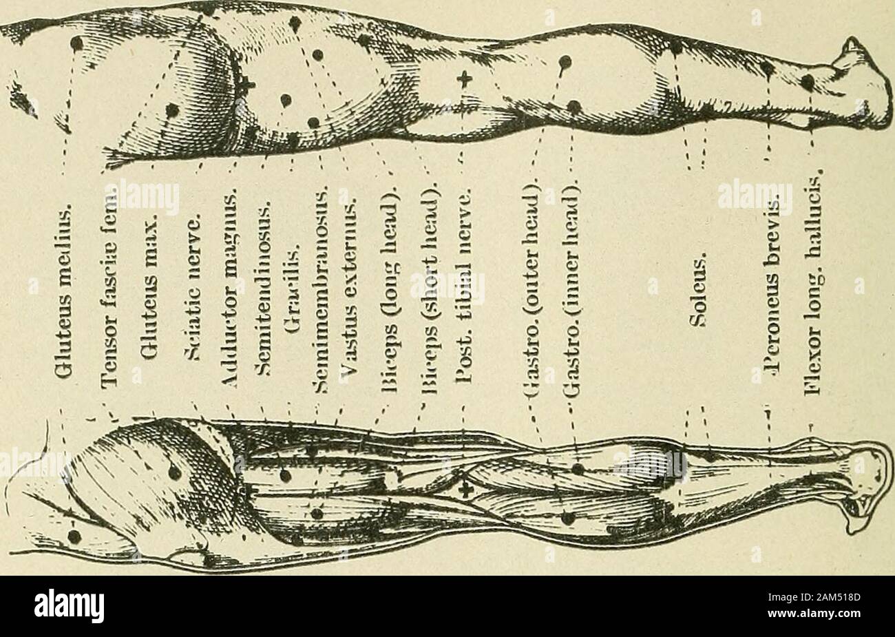 Inductio hi-res stock photography and images - Alamy