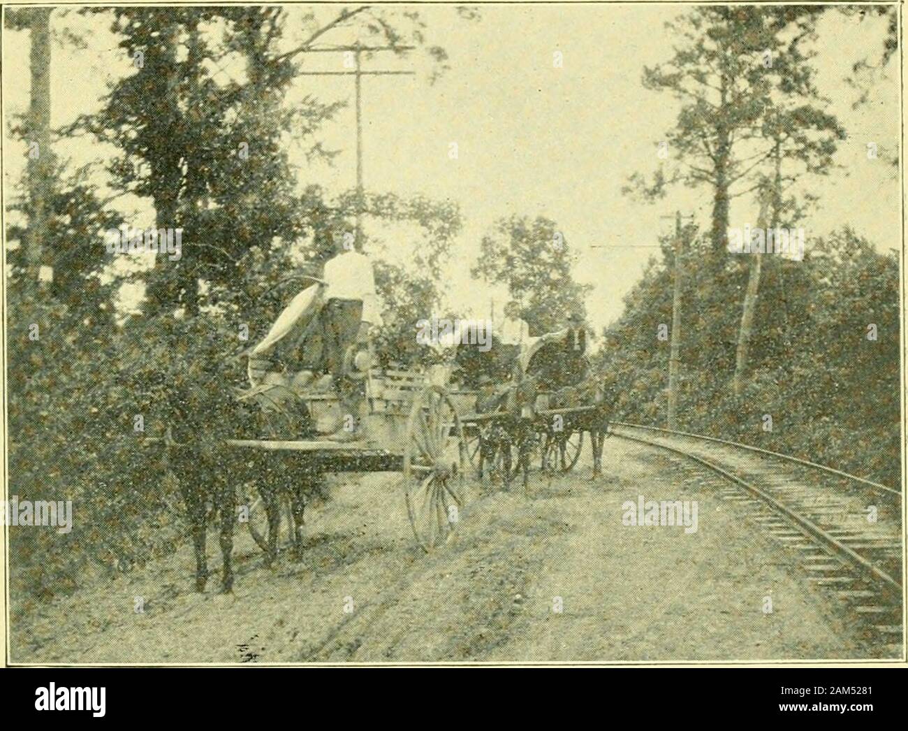 Life in old Virginia; a description of Virginia more particularly the ...