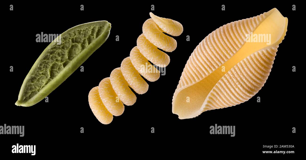 Set of conchiglie pasta shell isolated on black background Stock Photo ...