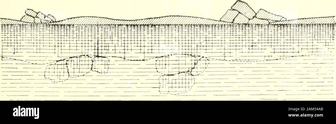 Farthest north; being the record of a voyage of exploration of the ship ...