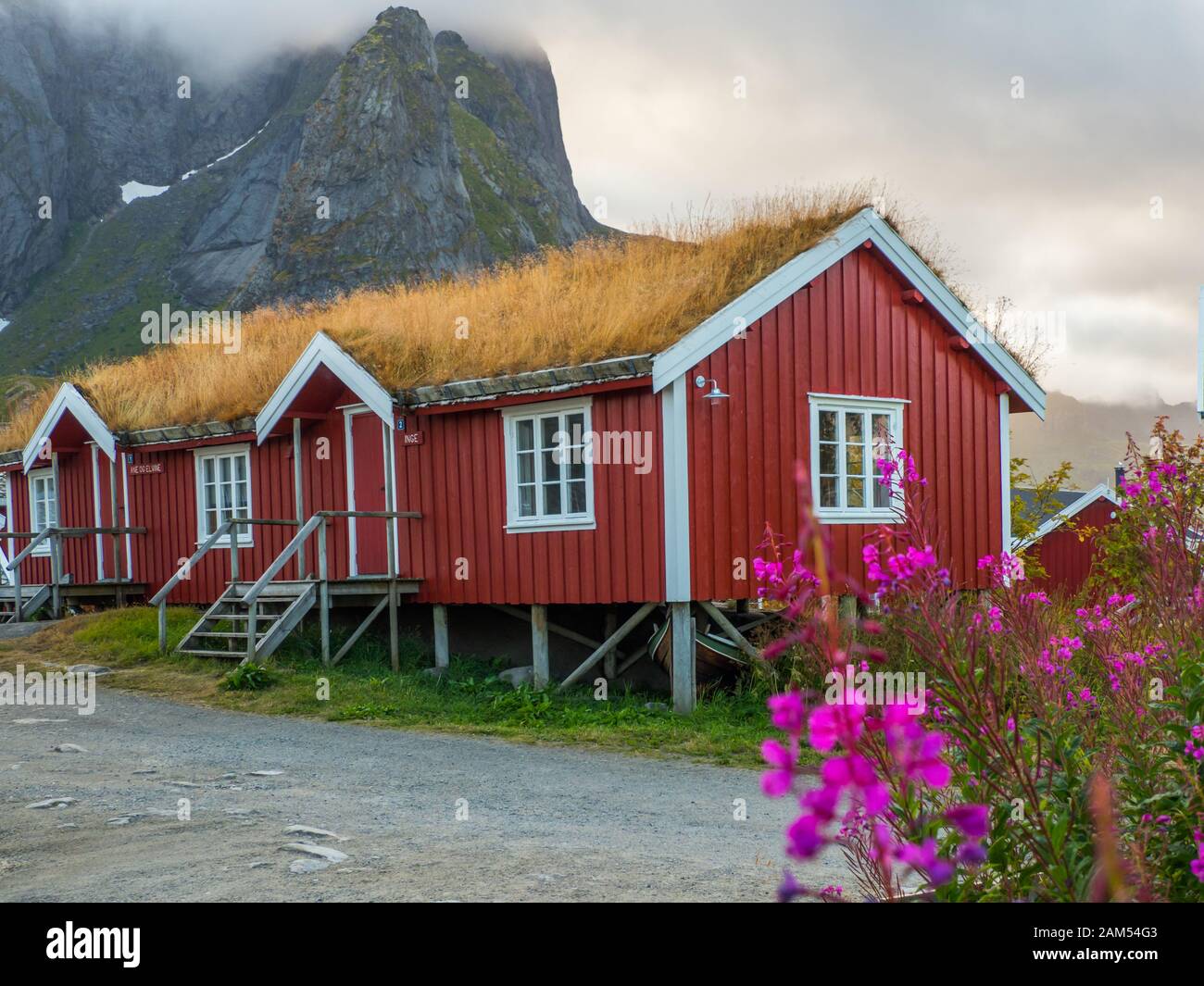Traditional, red, wooden houses in Reine. Lofoten Norway. Europe Stock ...