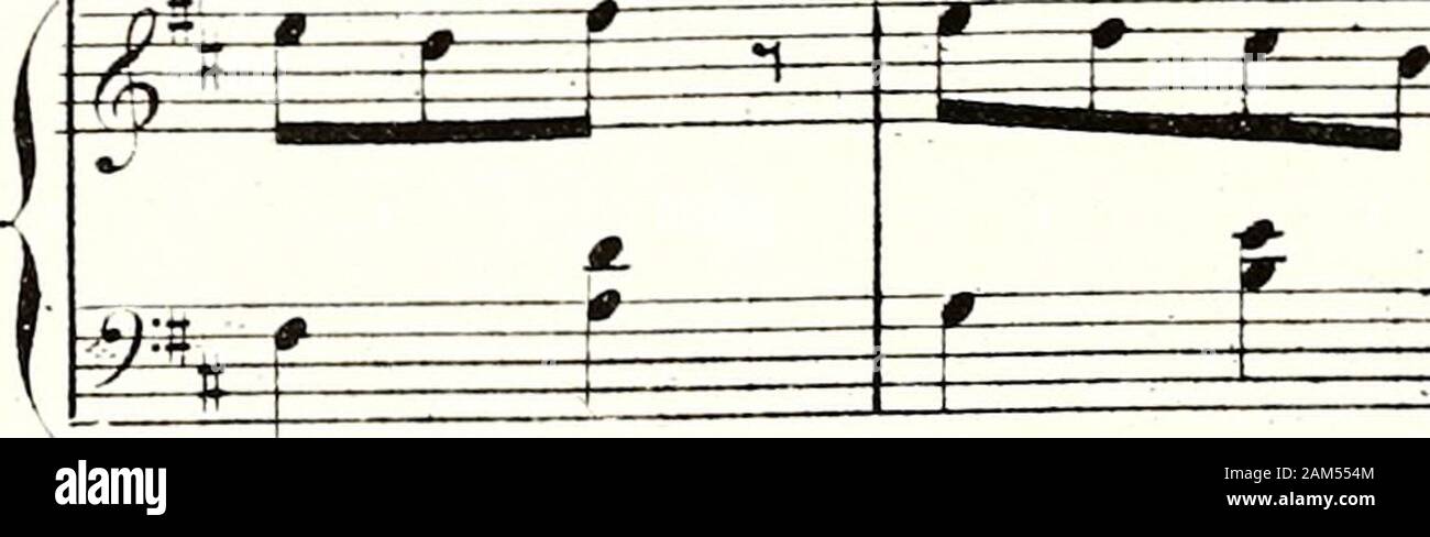 Oiseaux en cage hi-res stock photography and images - Alamy