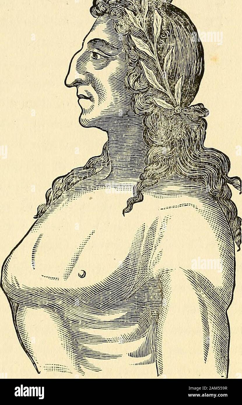 Nature's revelations of character; or, physiognomy illustratedA ...
