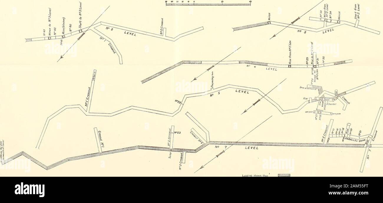 The geology of the Dun Mountain subdivision, Nelson . RELATIVE POSITION ...