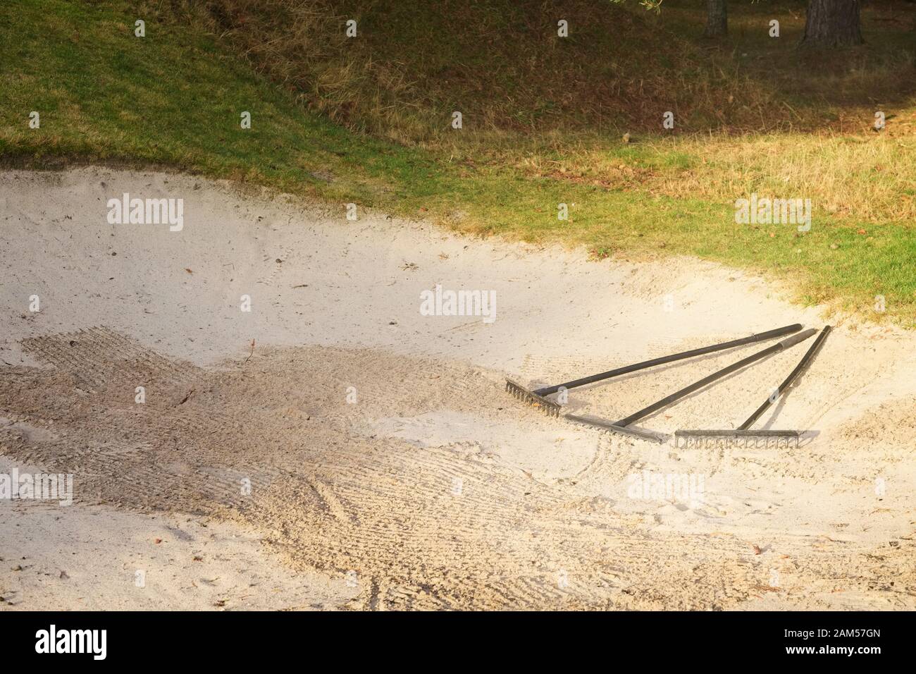 Rake in sand bunker at golf links course green for golfers Stock Photo ...